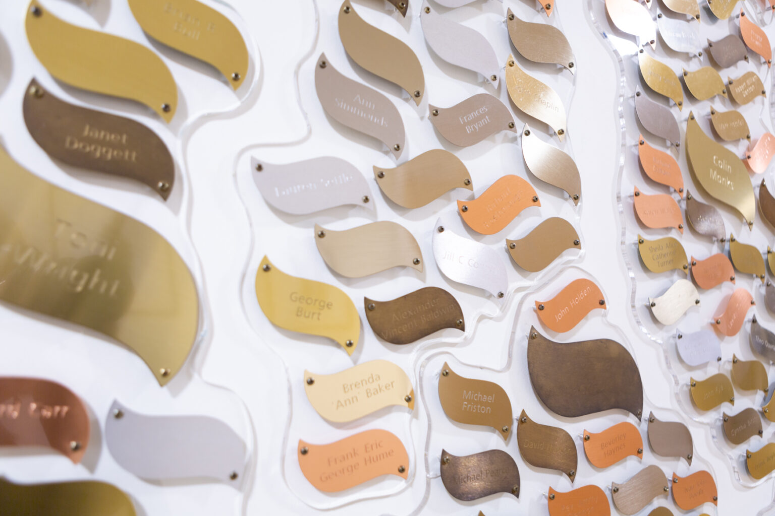 Memory Tree - St Elizabeth Hospice