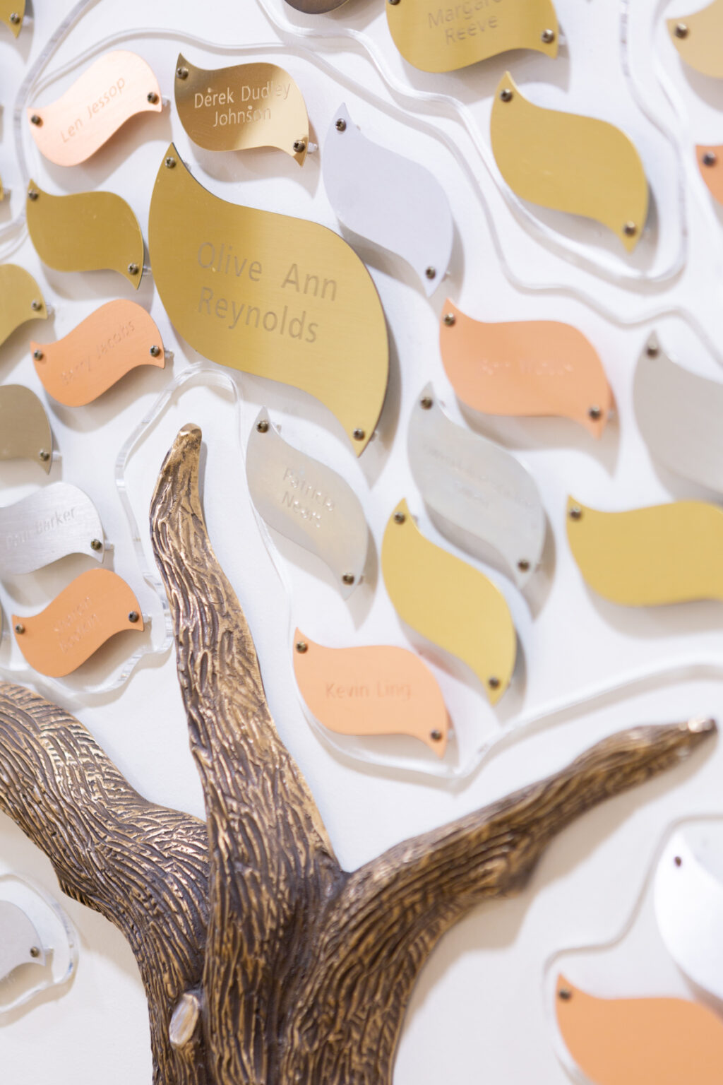 Memory Tree - St Elizabeth Hospice