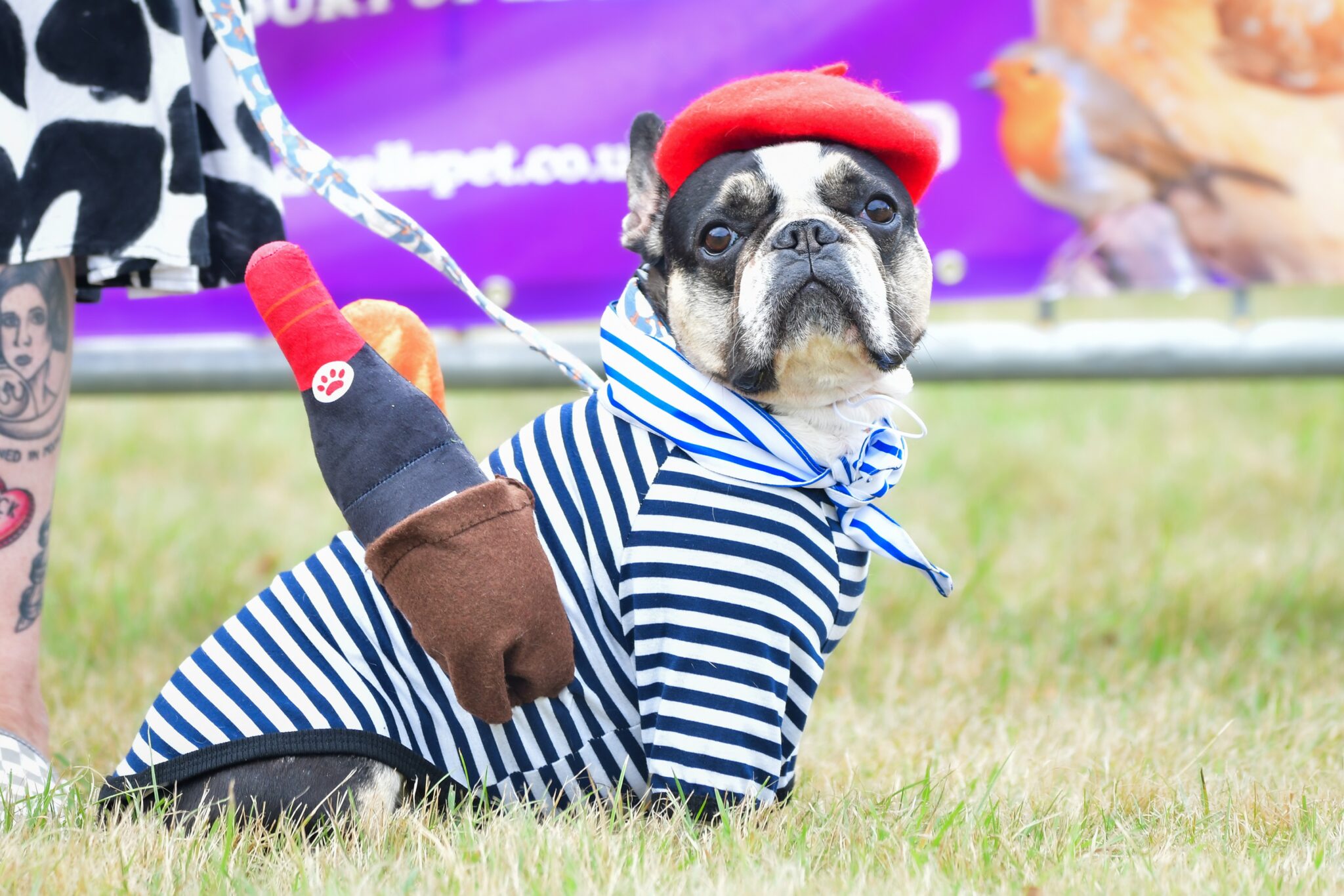 One Month Until Suffolk Dog Day 2025! - St Elizabeth Hospice